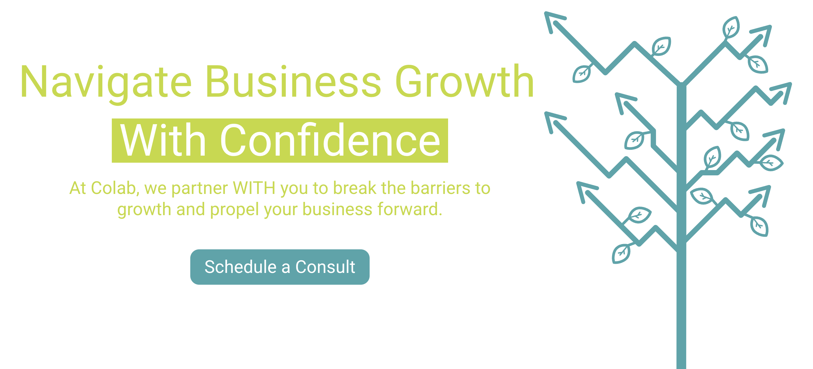 CoLab | Business Growth Implementation Partner in Fort Wayne Indiana
